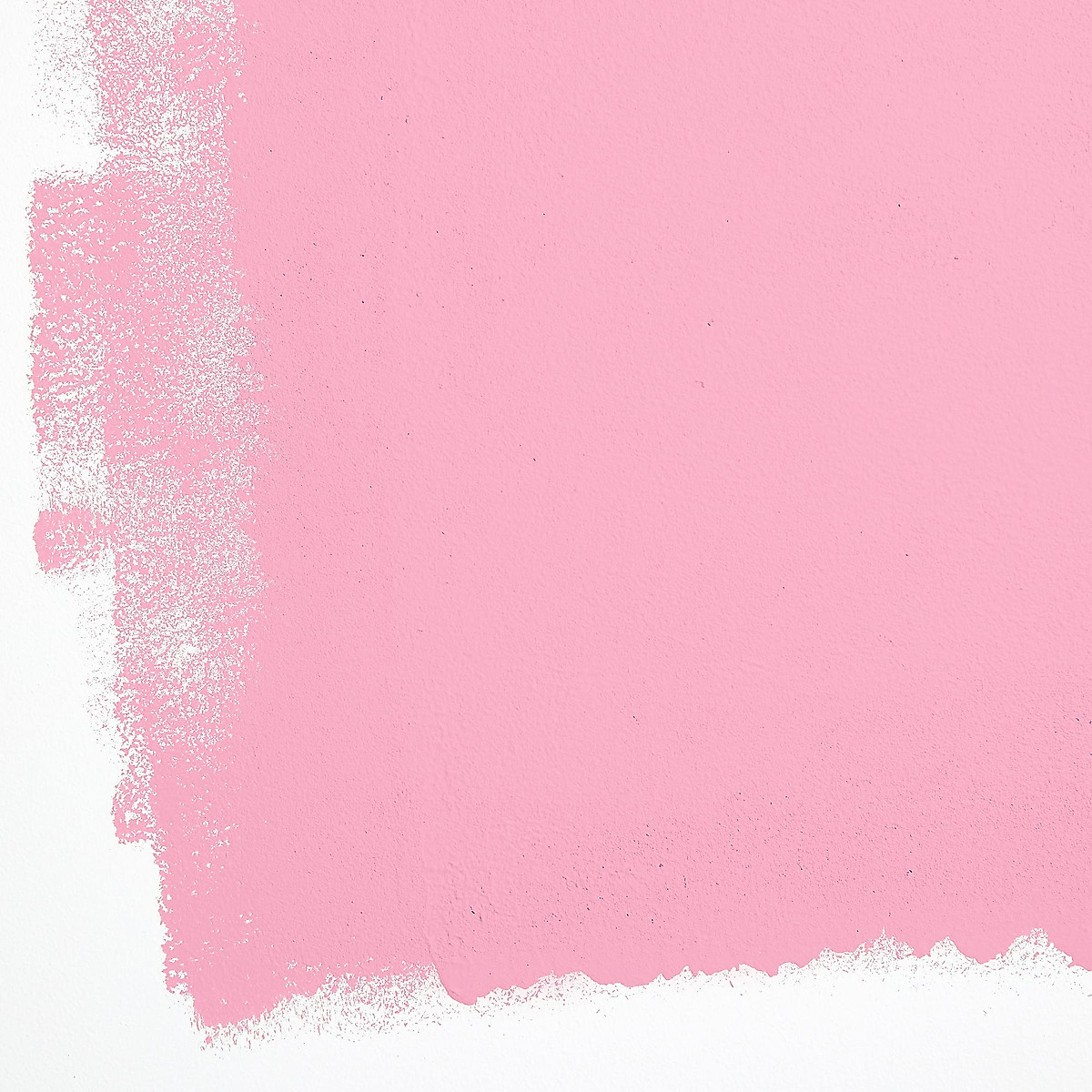 BACKDROP | Premium Interior Paint | Standard Semi Matte, Low Sheen Finish | Self-Priming, Low VOC, Green Wise Certified | BARBIE™ DREAMHOUSE™ PINK – Barbie™ Pink | 0.5 Gallon