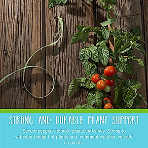 VELCRO Brand VEL-30071-USA ONE-WRAP Garden Ties | Plant Supports for Effective Growing | Strong Grips are Reusable and Adjustable | Cut-to-Length, 50 ft x 1/2 in, Green-Recycled Plastic