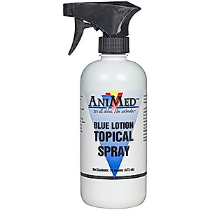 AniMed Blue Lotion Topical Antiseptic for Horses Dogs Cats Cows Sheep and Goats, 16-Ounce