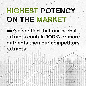 Secrets of the Tribe OSHA Tincture Alcohol-Free Extract, High-Potency Herbal Drops, Tincture Made from Responsibly farmed OSHA Ligusticum porteri Respiratory System Health 2 oz