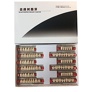 SDent® 2 Boxes 2 Layers Super Hard Synthetic Resin Teeth Multi-Layer Acrylic Composite False Teeth Denture Polymer Polymerial Materials & Full Set & A3 & 84PCS More Options on Size Name Chart
