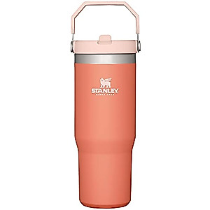 Stanley IceFlow Stainless Steel Tumbler with Straw, Vacuum Insulated Water Bottle for Home, Office or Car, Reusable Cup with Straw Leakproof Flip (Grapefruit)