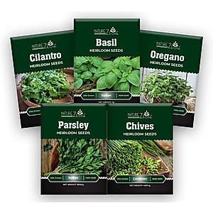 5 Herb Seeds Variety Kit, Oregano, Cilantro, Parsley, Basil, Chives