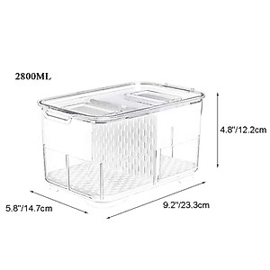 blitzlabs Vegetable Fruit Storage Containers, Fresh Produce Saver Refrigerator Storage Containers with Lids and Vents,Stackable Salad Lettuce Keeper,Stay Fresh Cabinet Containers Bin