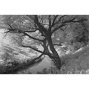 Hoya 67mm Infrared R72 Filter (Y1IR72067)