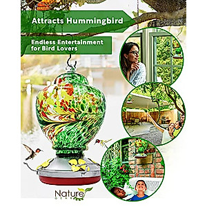 Hummingbird Feeder for Hanging Outside - Stunning Hand Paint Blown Glass - All Weather Guard and Ant and Bee Proof - New Modern Perky Sealer for No Leak Parts - Free Extra Accessories (Emerald Green)