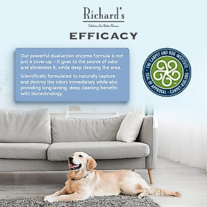 Richard’s Stain & Odor Eliminator Spray, 32 oz – Natural Stain and Pet Odor Eliminator Formula Cleans Carpet, Upholstery, Hard Floors – For Pet Stains, Crayon, Ink, Scuffs and More