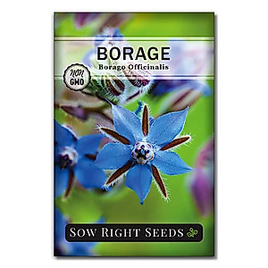 Sow Right Seeds - Edible Flower Seed Collection for Planting - Individual Packets Nasturtium Alaska, Pansy, Lavender, German Chamomile, and Borage, Non-GMO Heirloom Seed to Grow a Tasty Flower Garden