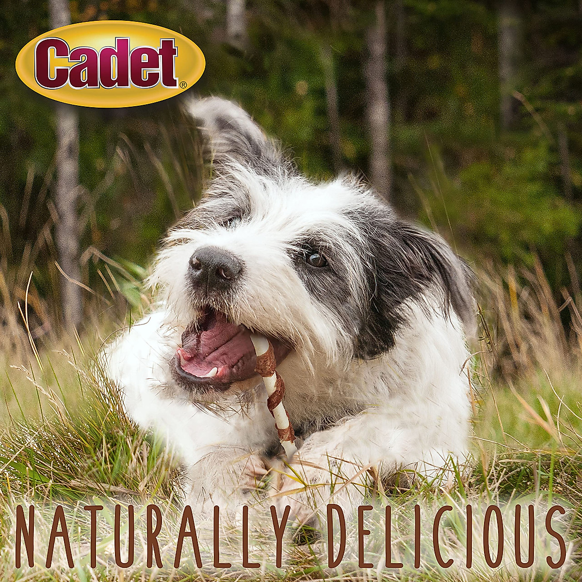 Cadet Gourmet Beef Hide Twist Chew Sticks, Long Lasting & Natural Chew Treats for Dogs, Inspected & Tested in USA, Duck Flavor (50 Count)