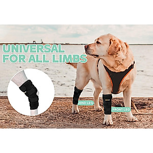 Lyderpet Dog Leg Brace for Hind Hock Joint, Rear Ankle Compression Wrap with Metal Strips Strong Support for Torn ACL & CCL, Prevents from Injury and Sprain, Helps with Wounds Care and Arthritis (S)