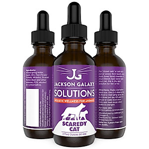 Jackson Galaxy: Scaredy Cat (2 oz.) - Pet Solution - Promotes Sense of Self-Confidence and Reassurance - Perfect for Cats Who Hide and Run from Touch - All-Natural Formula - Reiki Energy