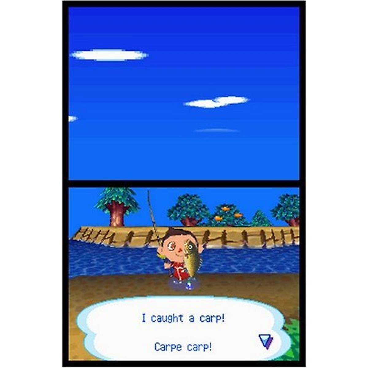 Animal Crossing: Wild World (Renewed)