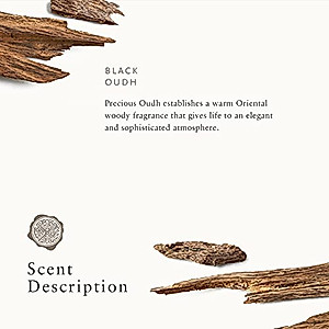 RITUALS Black Oudh Elegance Luxury Oil Reed Diffuser Set - Fragrance Sticks with Black Oudh & Patchouli - 15.2 Fl Oz