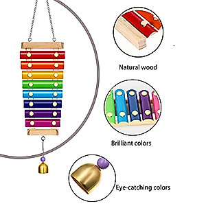 KIEYYRYT 4 PCS Xylophone Chicken Toys for Coop, Veggies Skewer, Fruit Holder, Vegetable Hanging Feeder for Chicken Coop Accessories, Chicken Bells Toys for Hens