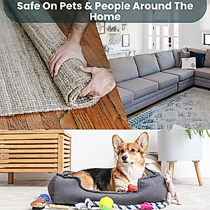 Trail Guard Natural Extra Strength Insect, Flea and Tick Spray for Dogs, Cats, People & Home - 16oz Plant-Based Insect & Tick Repellent for Dogs - Kid Safe - DEET Free (16oz)