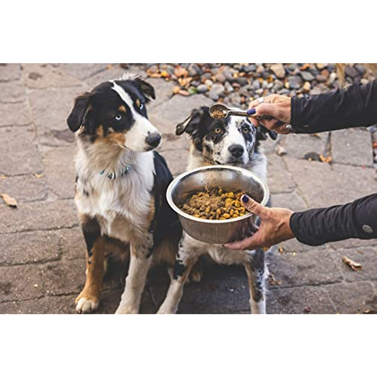 Omega Canine Shine, 2 Lb bag