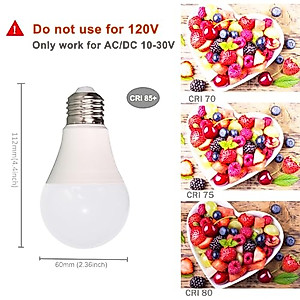 12V LED Light Bulb 7W 630Lm AC/DC10-30Volt Low Voltage E26 Base (2700K Warm White) 40-60 Watt A19 Bulbs Equivalent,Landscape Garden Yard, 12volt Battery Power System Off Grid Solar Lighting,6 Pack
