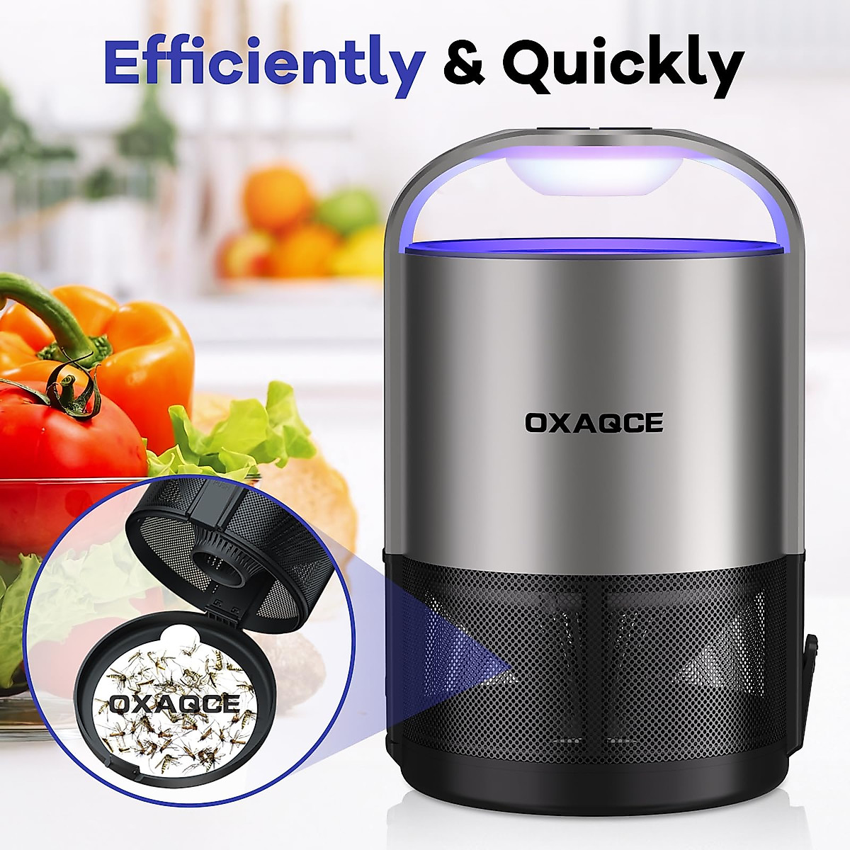 Fruit Fly Traps Indoors, Gnat Traps for House, Fly Traps, Bug Zapper Indoor, Insect Traps with 10 Sticky Glue Boards, Grey