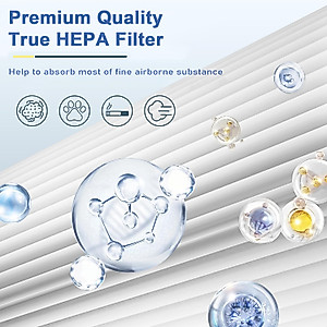 14 True HEPA Filter Replacement for Puro 240 Air Purifier, HP-14 240 Replacement Filter for 240 Air Purifier, 3-in-1 Activated Carbon Air Purifier Filter, 2 Pack