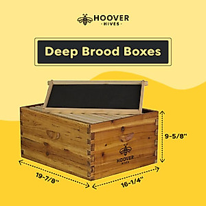 Hoover Hives 10 Frame Langstroth Beehive Dipped in 100% Beeswax Includes Wooden Frames & Waxed Foundations (2 Deep Boxes, 1 Medium Box)