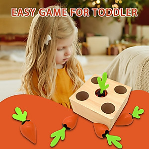 Doyolta Montessori Toys for Toddlers 4 Years Old, Shape Sorting Matching Puzzle Toy with Carrots Travel Toys in Tin Box for 4 Year Old Gifts for Boys Girls