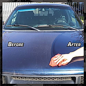 Renegade Products Notorious Waterless Wash for Auto Detailing Scratch Free Clean Mint Scent