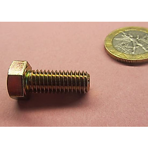 Class 8.8 Yellow Zinc Steel Bolts FT M8 x 1.25 mm x 20 mm Long 10 pcs