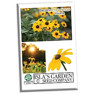 Brown-Eyed Susan Flower Seeds for Planting, 3000+ Seeds Per Packet, (Isla's Garden Seeds), Non GMO & Heirloom Seeds, Scientific Name: Rudbeckia triloba, Great Home Flower Garden Gift