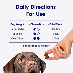 Petlab Co. Joint Care Chews - High Levels of Glucosamine for Dogs, Green Lipped Mussels, Omega 3 and Turmeric - Dog Hip and Joint Supplement to Actively Support Mobility - Packaging May Vary