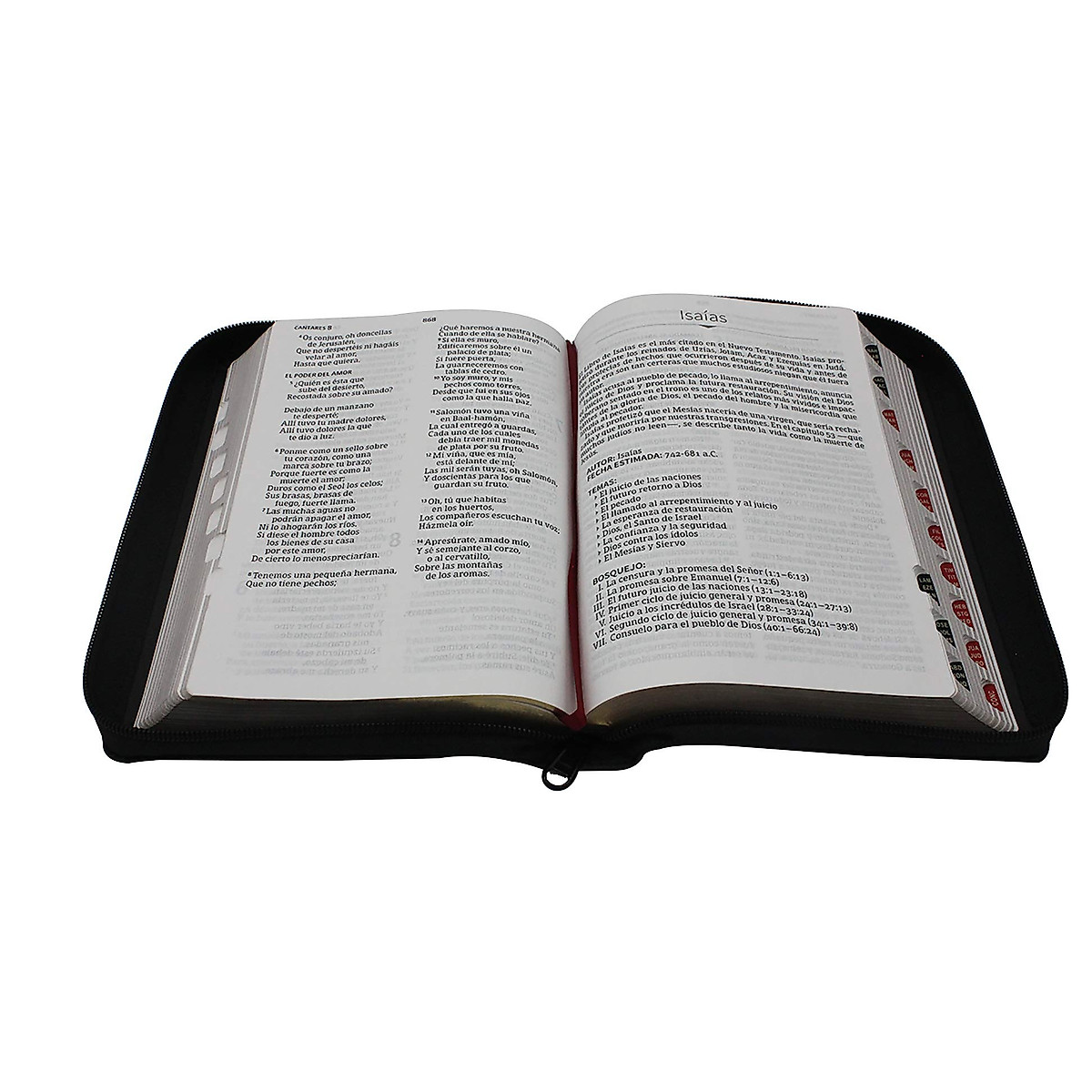 Biblia Reina Valera 1960, con Letra Grande de 12 puntos, cierre, Indice, imitacion piel en color negro