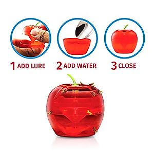 Fruit Fly Traps for Indoors by Raid | 2 Lures + 2 Refills | Effective Fruit Fly Trap for Indoor Use | Fruit Fly Killer & Gnat Traps for House Indoor | Easy to Use & Safe Food-Based Lure Fly Catcher