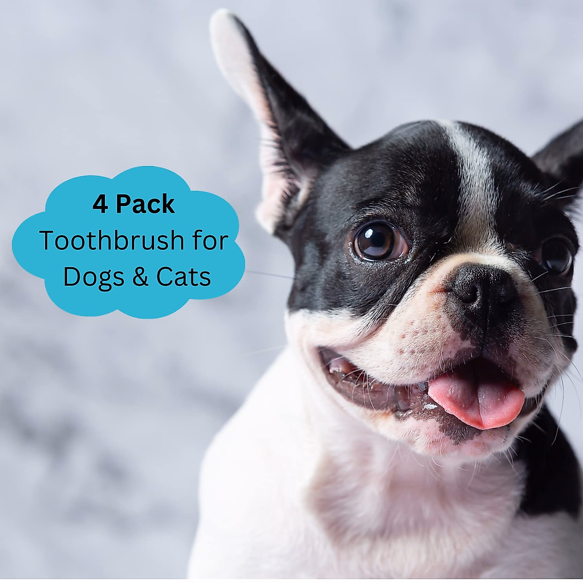 Mighty Mutt Bamboo Pet Toothbrush – Double-Sided Dog Toothbrush | Easy to Use for Dog Teeth Cleaning | Pet Friendly | Soft, Gentle Dog Tooth Brush for Any Size Breed – 4 Pack