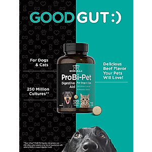 Horbäach Probiotics for Dogs & Cats | 120 Chewable Tablets | Digestive Aid | with 14 Probiotic Strains | Savory Beef Flavored Pet Supplement | by River & RULA
