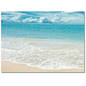 Gsypo Summer Indoor Modern Contemporary Area Rug, Tropical Ocean Beach Sea Water Ultra Soft Non-Shedding Carpet Floor Mats Stain Resistant Living Room Bedroom Area Rugs Washable 5'x8'