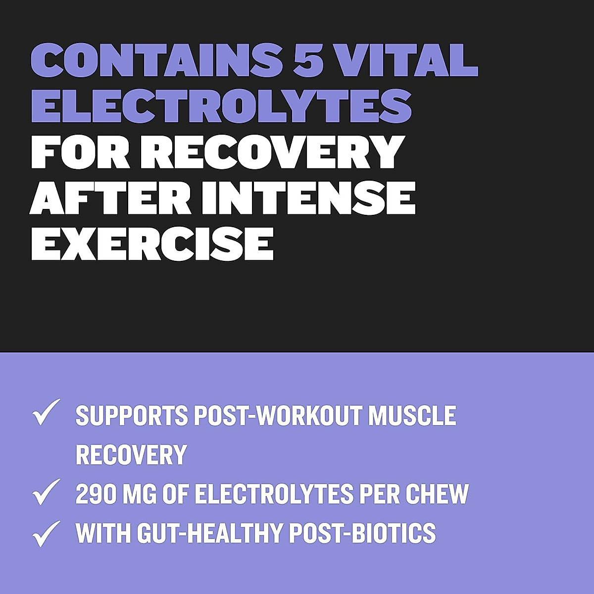 Bully Max 2-in-1 Post-Workout Recovery Support Chews - Dog Vitamins for Small & Large Breeds - Puppy and Adult Dog Hydration & Electrolyte Replenishment - 3 Packs, 75 Chews per Pack