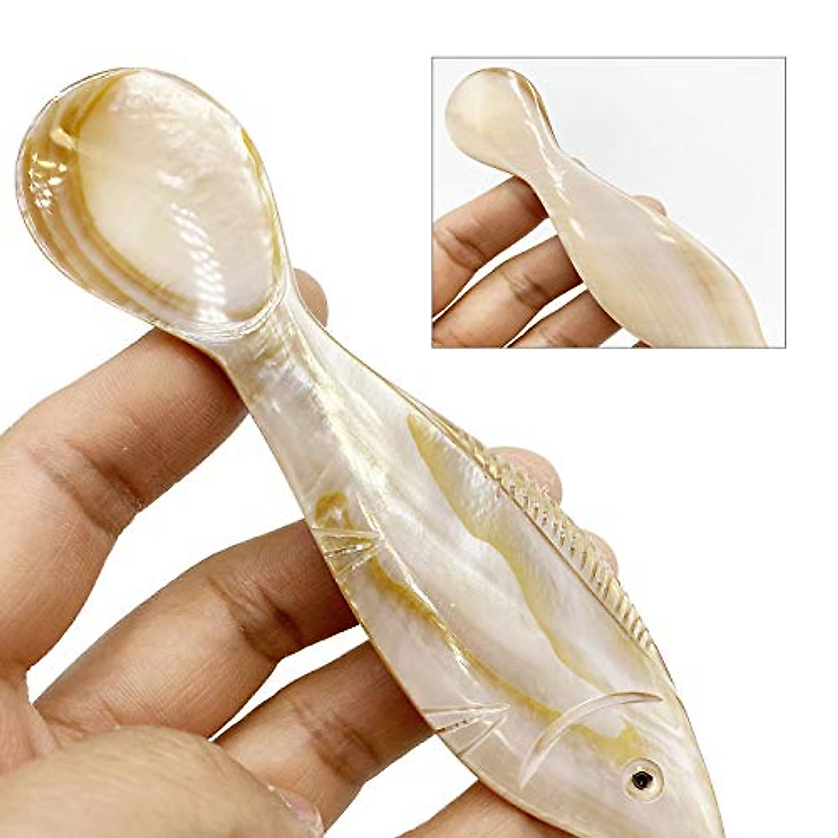 Wenplus 2 Pack 4.73inch Caviar Spoons Handcraft Mother of Pearl MOP Caviar Spoon W Round Handle with One Plastic Storage Box -Coffee Color, Style F