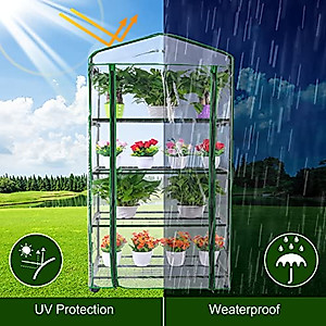 Mini Greenhouse for Plant Outdoors Indoor Seedlings,Portable Grow Greenhouse Tent Flower House Gardening Backyard (4-Tier House)