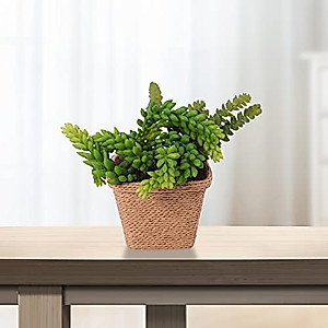 WYSRJ 2Pcs Rattan Waste Basket Bin, Handwoven Rattan Storage Baskets with Liner, Woven Basket Trash Can Bathroom Garbage Container Bin for Bedroom Laundry Room or Kitchen