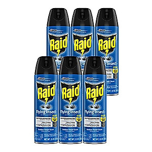 Raid Flying Insect Killer, 15 OZ (Pack - 6)