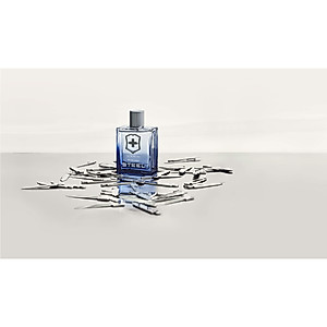 Victorinox Swiss Army Steel Men 3.4 oz EDT Spray