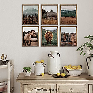 Highland Cow Pictures Wall Art - Farm House Animal - Boho Western Decor - Gift Cowboy Men Cowgirl - Set of 6 - Old West Ranch Room Decor - Country Horse Print - Fall Rustic Farmhouse Bathroom Poster