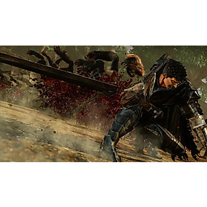 Berserk and the Band of the Hawk - PS4