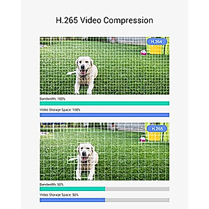 EZVIZ Security Camera Outdoor, 4MP WiFi Camera Pan/Tilt, 360° Visual Coverage, IP65 Waterproof, Color Night Vision, AI-Powered Person Detection, Two-Way Talk, Support MicroSD Card up to 256GB | C8W