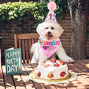 PurrNbark Dog Birthday Bandana Hat with Number Patry Supplies Cute Doggy Bandana for Small Medium Boy Girl Blue Pink Pet Birthday Celebration Soft Triangle Scarf Colorful Words Pattern