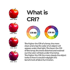 Bulbrite 8.5 Watt Dimmable Milky Glass G40 LED Light Bulbs with Medium (E26) Screw Base 2700K (Warm White Light), 800 Lumens