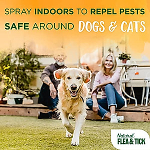 TropiClean Natural Flea and Tick Spray for Home | Maximum Strength Flea Spray for Carpet and Furniture | Family-Friendly & Safe | Made in the USA | 32oz