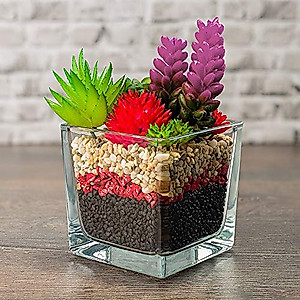 Housenior 24 Mini Artificial Succulent Plants Unpotted : Fake Succulents Picks Realistic Plastic Cactus Stems for Terrarium Bulk Small Faux Assorted Arrangements Flocked Greenery