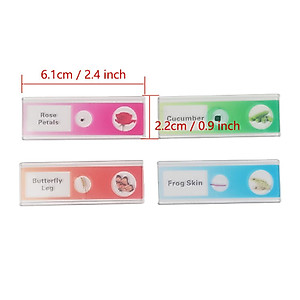 48pcs Kids Plastic Prepared Microscope Slides of Animals Insects Plants Flowers Sample Specimens for Microscopes