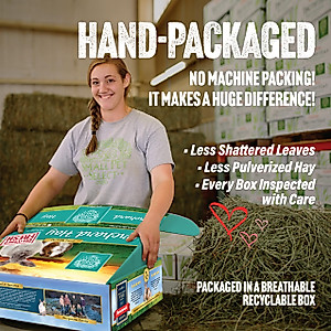 Small Pet Select Orchard Grass Hay Pet Food, 40 lb