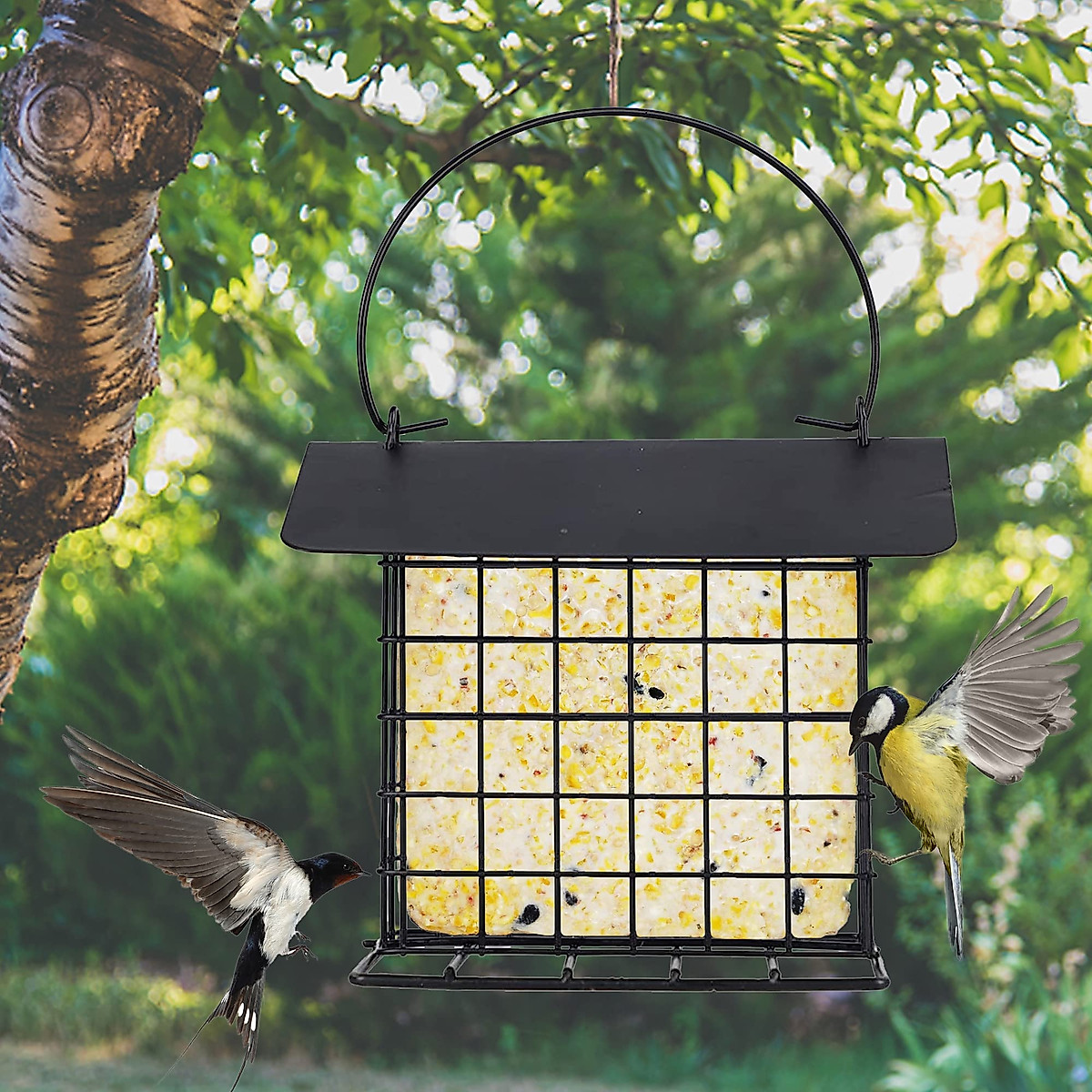 winemana Outdoor Wild Bird Feeder, Black Small Hanging with Metal, Rainproof Squirrel-Proof, Single Suet Cake Style for Outside Office